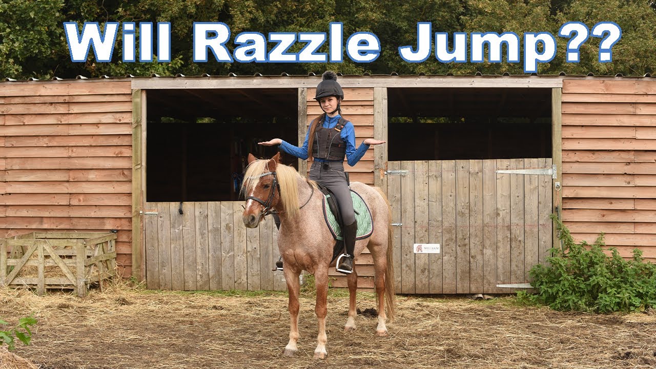 DESENSITIZING RAZZLE! - YouTube