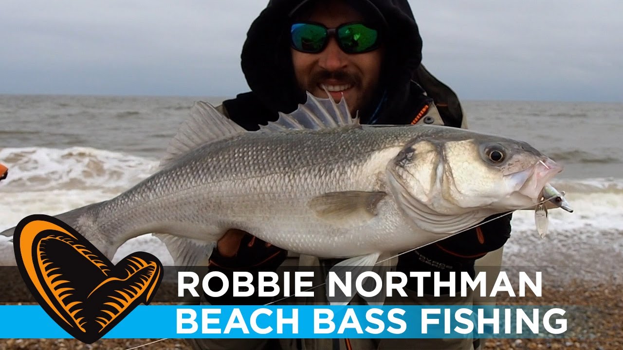 Bass Fishing in the Surf - Robbie Northman - Savage Gear - YouTube