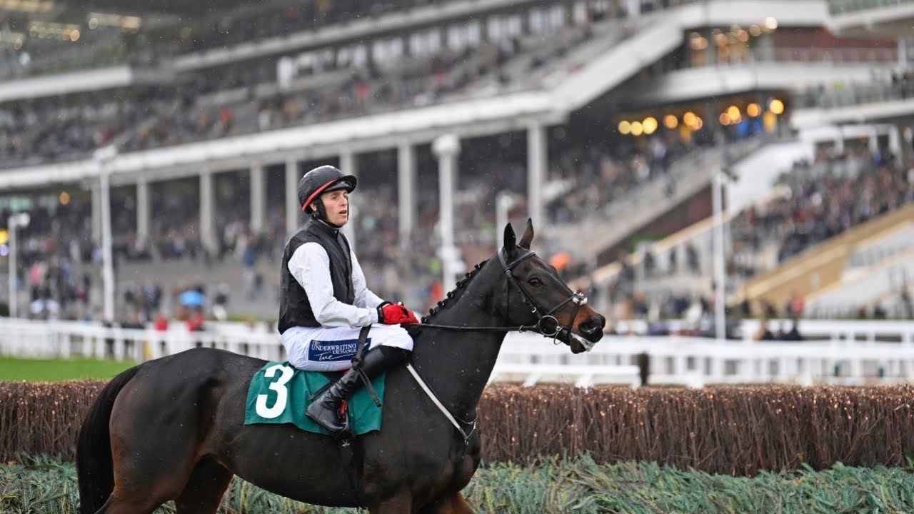 Dual Stayers’ Hurdle hero Flooring Porter makes winning debut over ...
