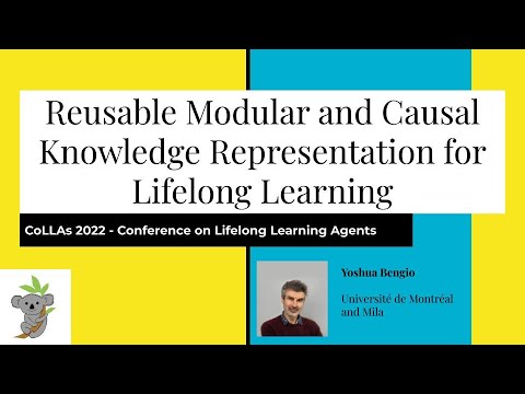 Modular & Causal Knowledge Representation for Lifelong Learning - Yoshua Bengio - CoLLAs 2022 ...