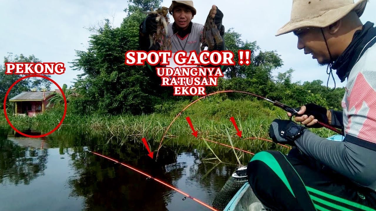 MANCING TEPAT DI LUBUKNYA !! SPOT PEKONG AKAN KUINGAT SELALU, MANCING ...