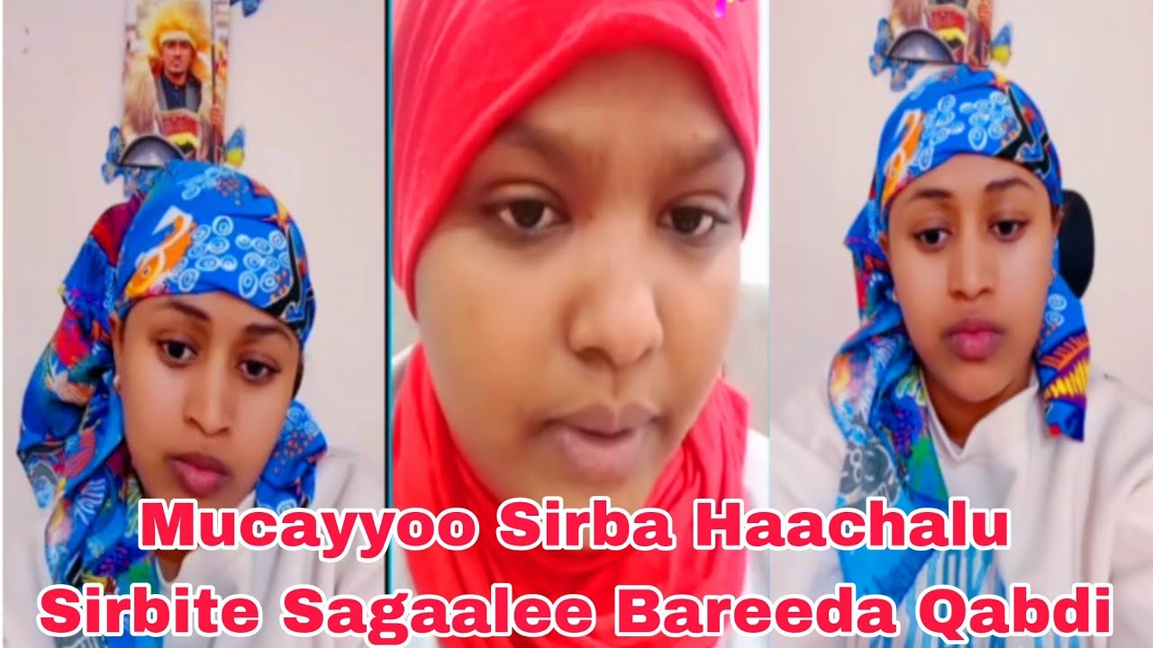 Mucayyoo Sirba Haachalu Sirbite Sagaalee Bareeda Qabdi - YouTube