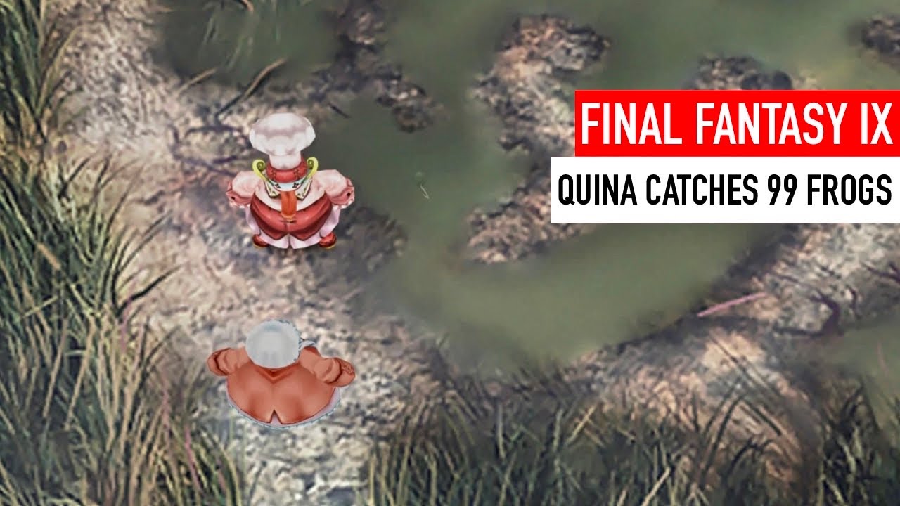 Final Fantasy IX - Quina Catches 99 Frogs - YouTube