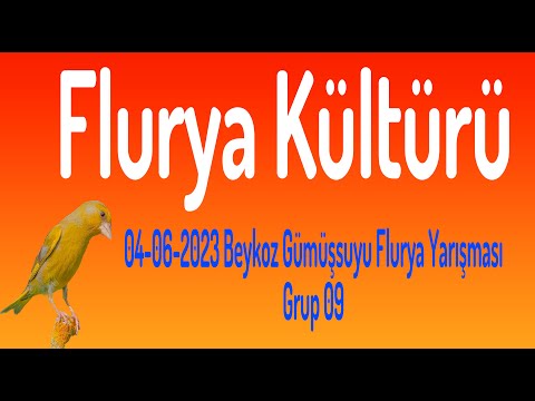 Flurya Kültürü 226 - Beykoz 04-06-2023 Gümüşsuyu Yarışması Grup 09