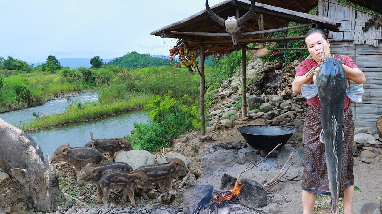 survival in the rainforest-found cat fish with baby corn for cook ...