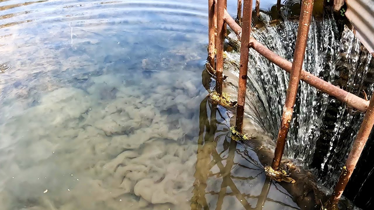 Unclogging Lake Drain - So Satisfying! - YouTube