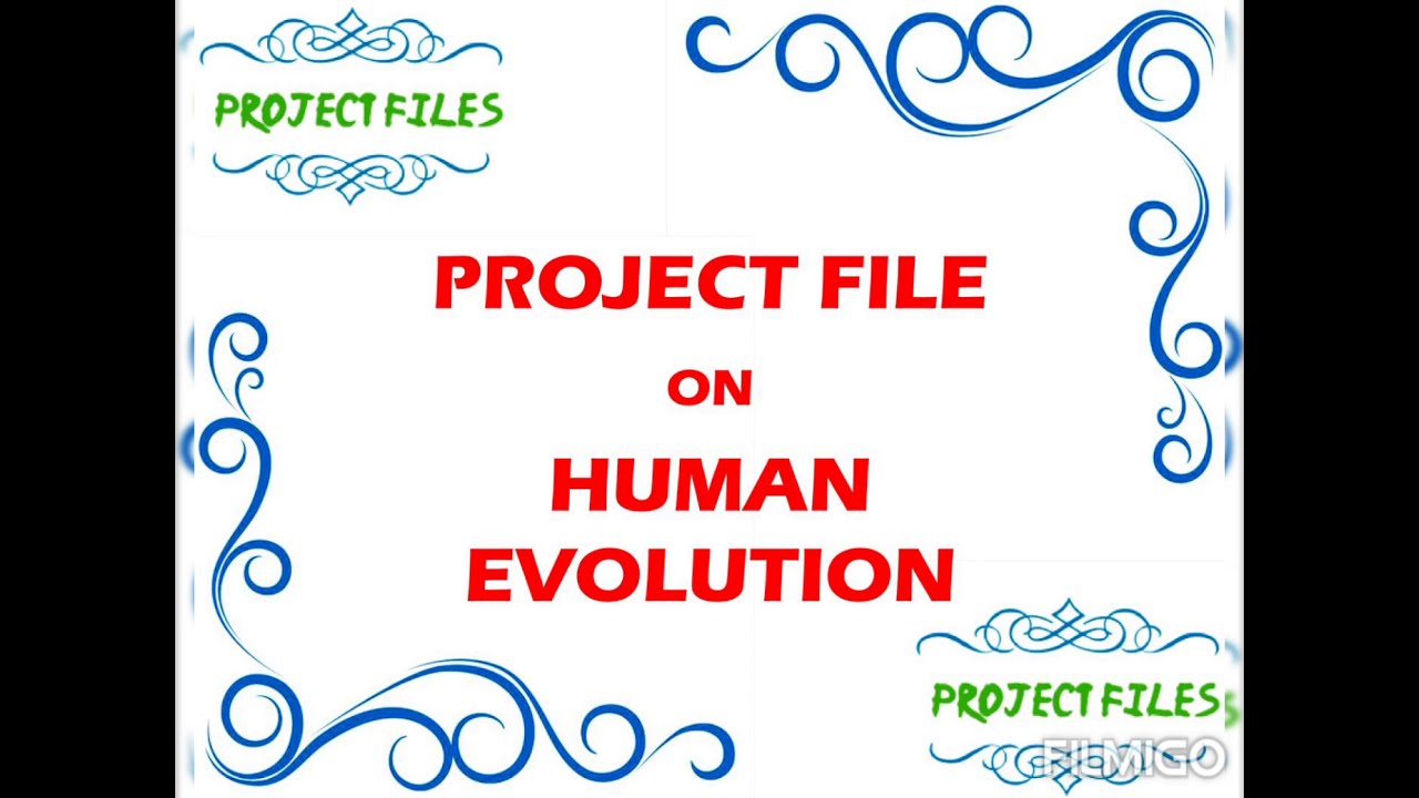 Project File on Human Evolution - YouTube