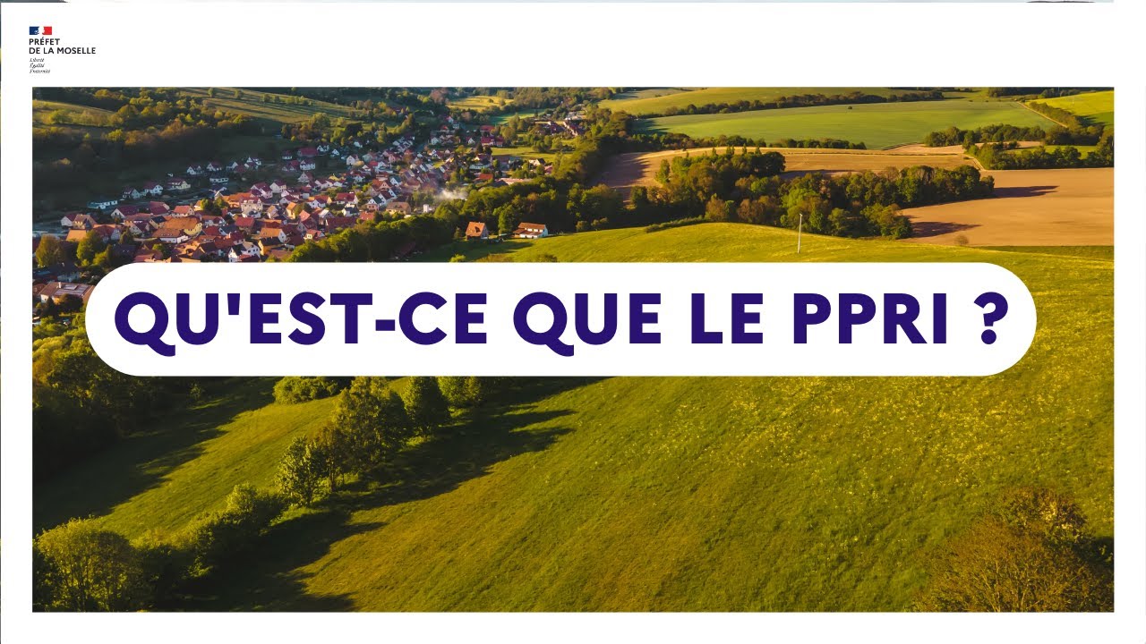 Qu'est-ce que le PPRI ? - YouTube