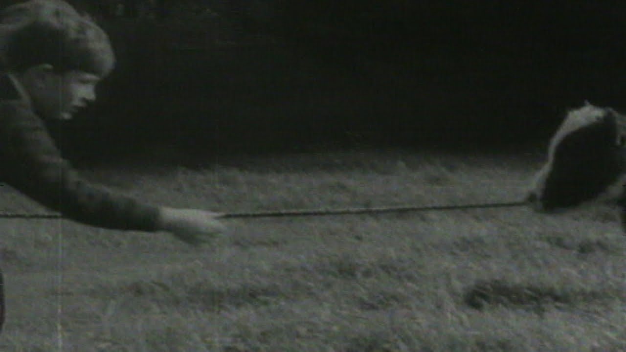 Prince Charles chases a cow: 50 years of royal summers at Balmoral ...