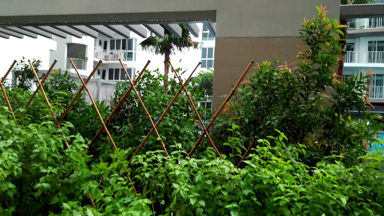 Oppo A37 Camera Test! - YouTube