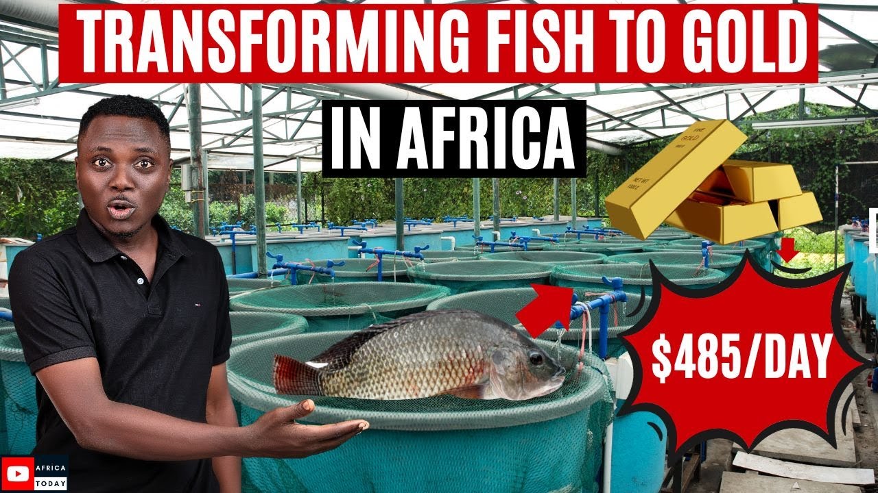 The Million-Dollar Fish Farming Secret Revealed/ Pisciculture In Africa ...