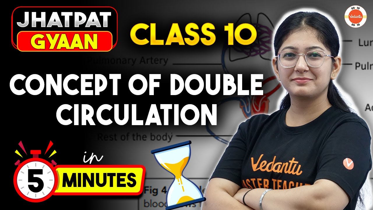 Double Circulation One Shot in 5 Minutes | Life Processes Class 10 ...
