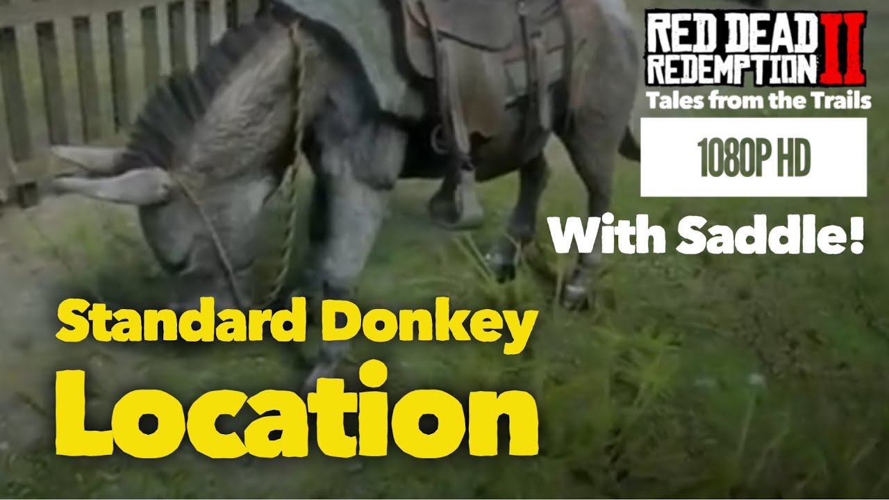RDR2: Donkey With Saddle Location - 1080p HD - Red Dead Redemption 2 ...