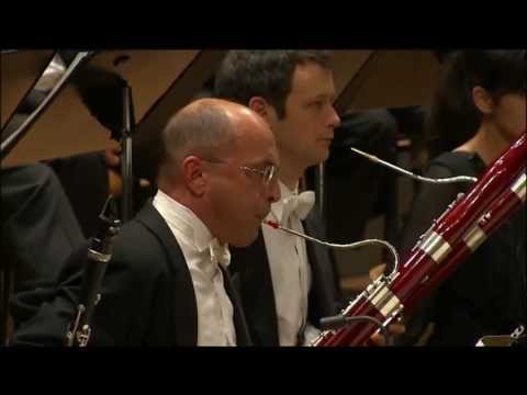Rite of the spring - Daniele Damiano, Bassoon - YouTube