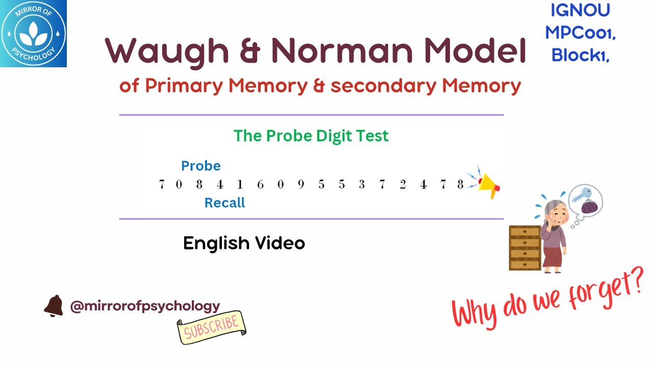 Waugh and Norman Model of Primary Memory and Secondary Memory||Probe ...