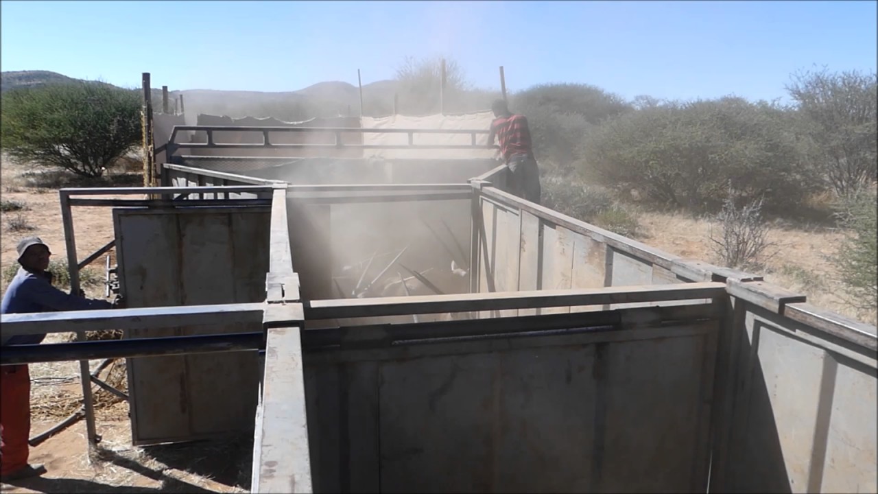 Boma capture oryx - YouTube