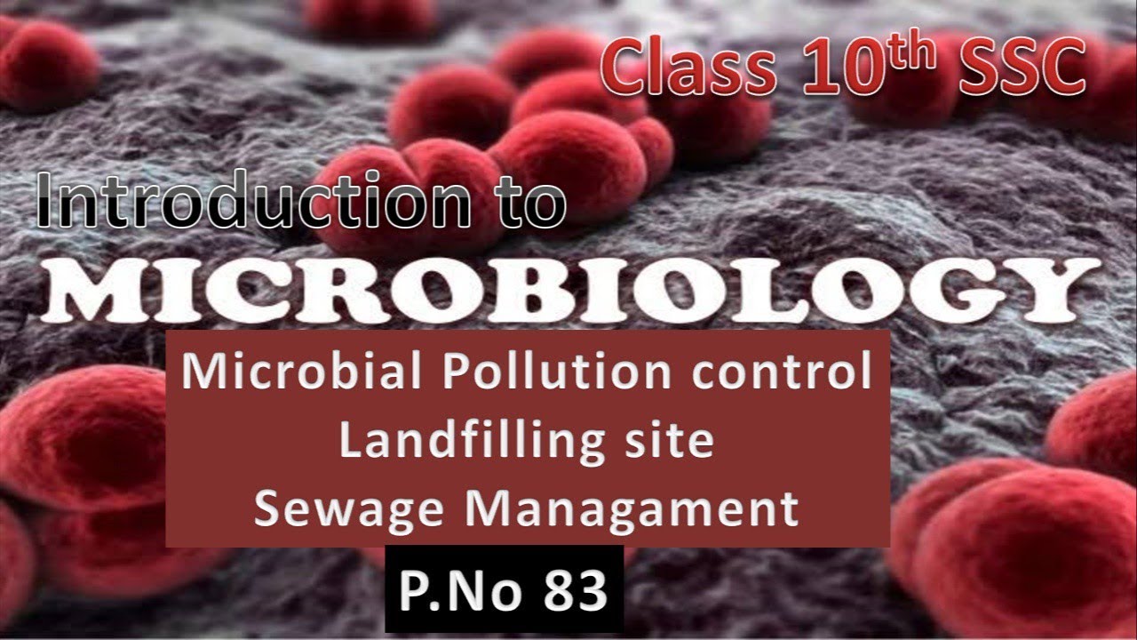 Microbial Pollution Control, Landfilling Sites and Sewage Management ...