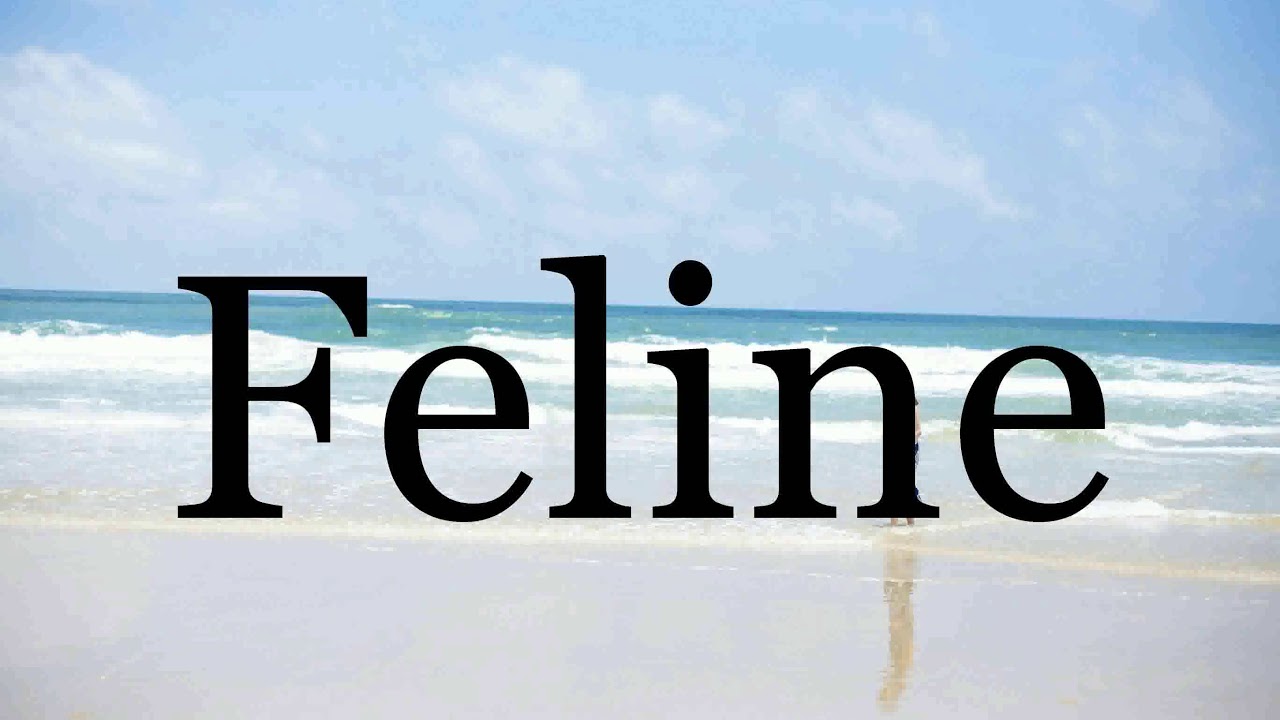 How To Pronounce Feline🌈🌈🌈🌈🌈🌈Pronunciation Of Feline - YouTube