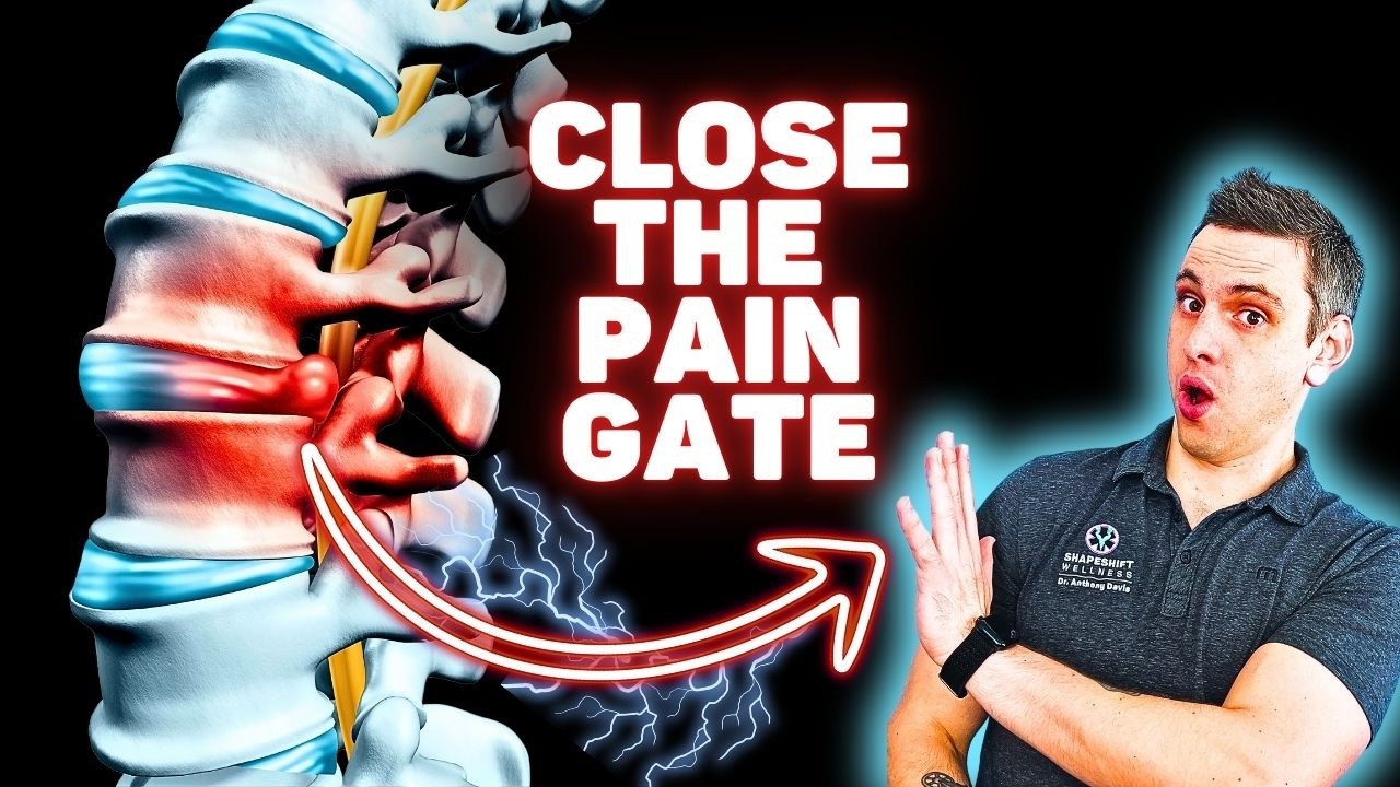 The Real ROOT CAUSE of Chronic Back Pain (pt.8) - Closing the Gates on ...