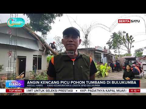 Pohon Tumbang Akibat Angin Kencang di Bulukumba, 4 Pemotor Terluka #beritasatu