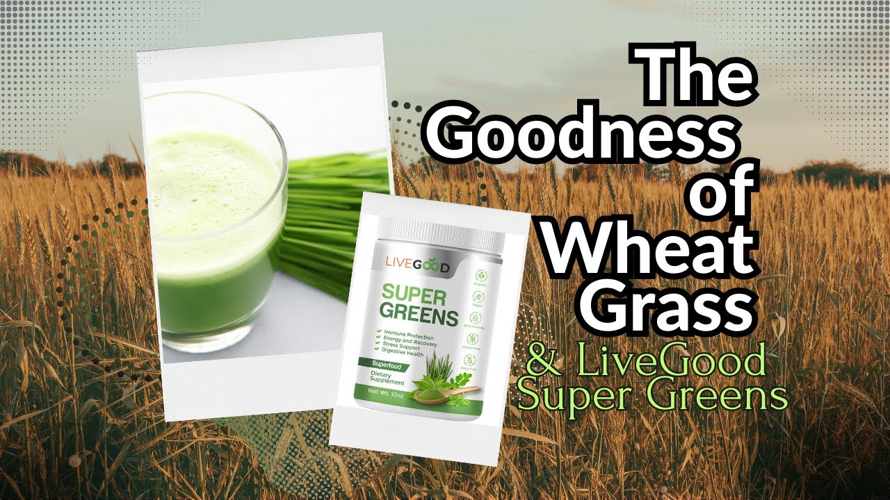 Powerful Health Benefits Of Wheat Grass: Enjoy Super Greens| Wheatgrass ...