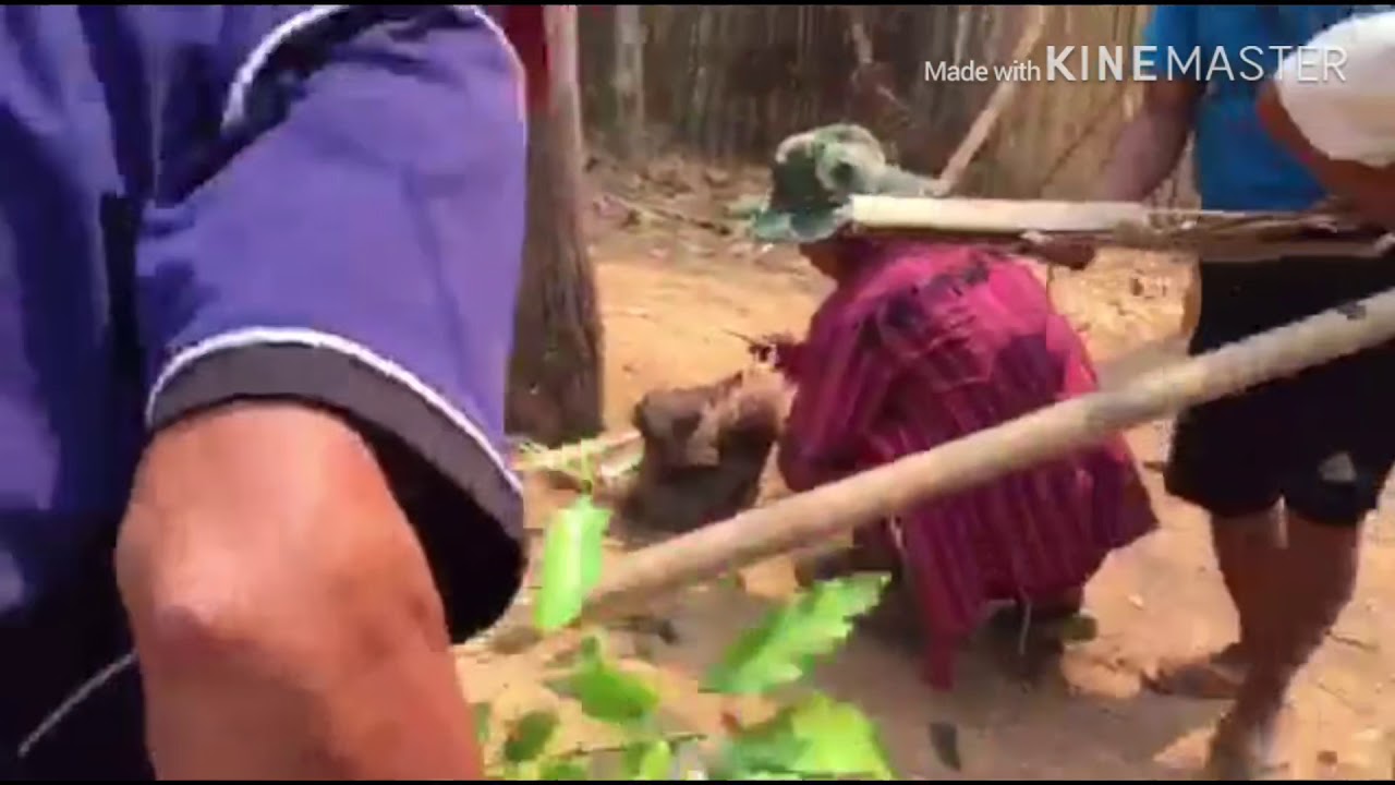 Karenni Section-3 Kay Htoo Boe 2019 - YouTube