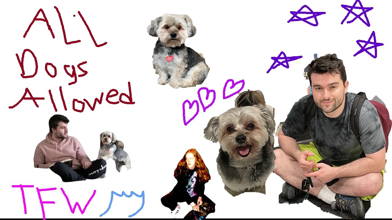 The Middle Place - YouTube