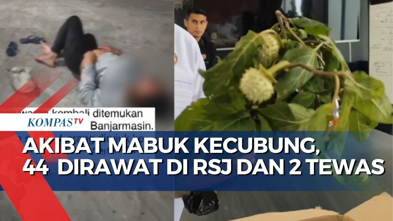 Akibat Mabuk Kecubung, 44 Orang Masuk RSJ dan 2 Tewas di Banjarmasin ...