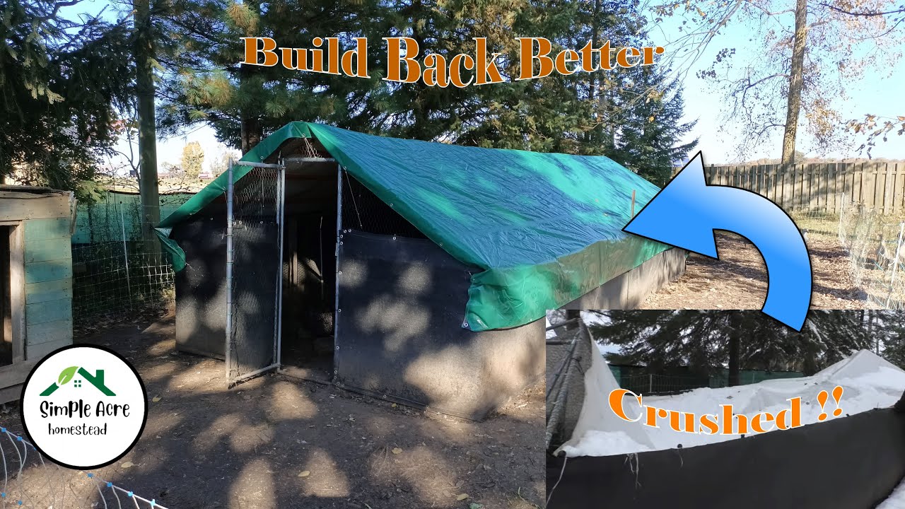 Preparing to avoid a chicken coop disaster this winter. - YouTube