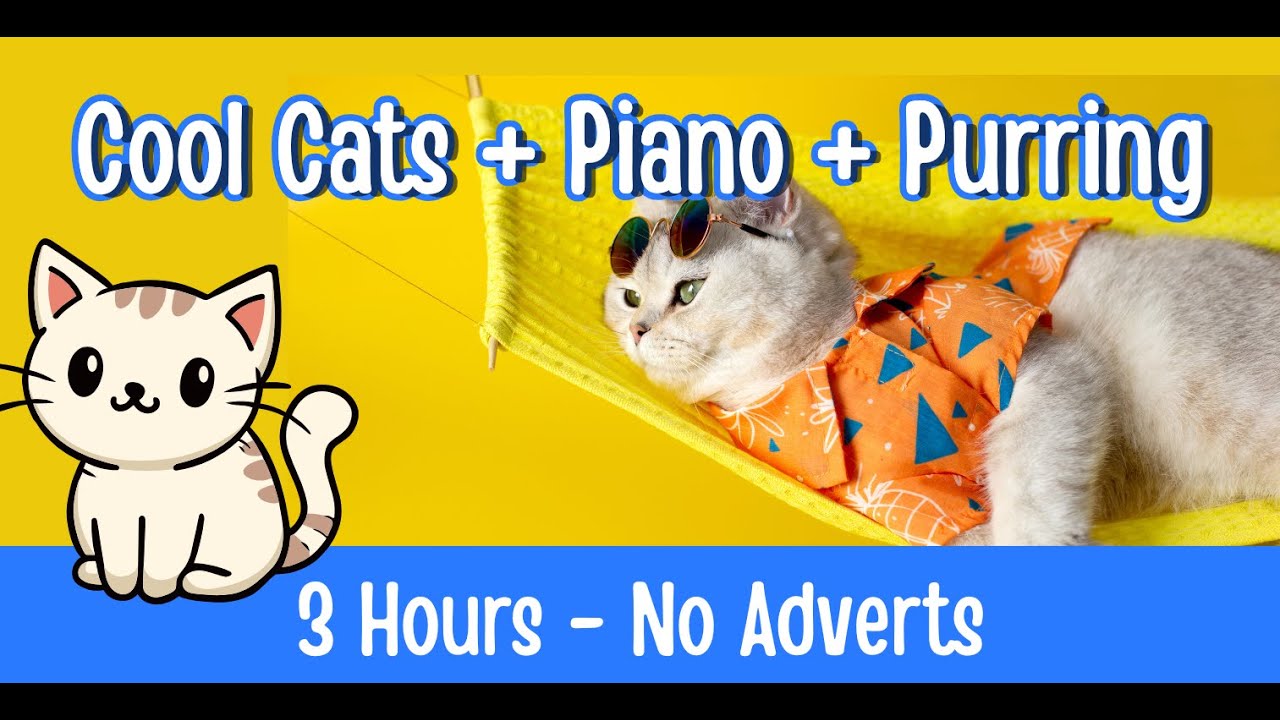 Cool Cats Piano & Purring for Cats & Kittens | Calming Cat Music ...