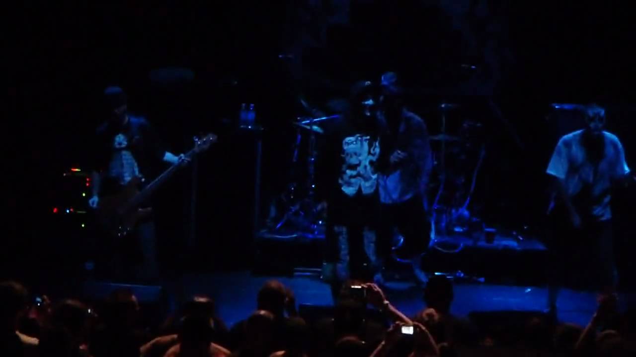HED PE LIVE NEW WORLD ORPHANS - YouTube