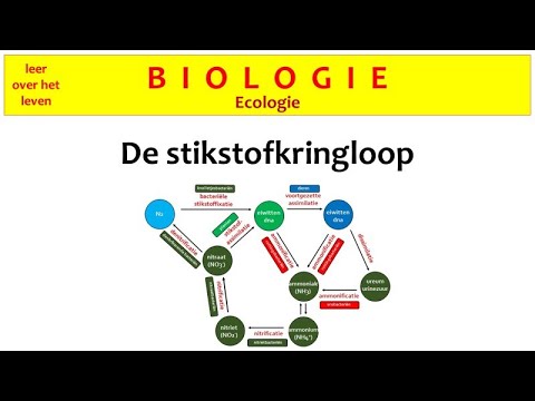 Biologie - Ecologie - De stikstofkringloop - - YouTube