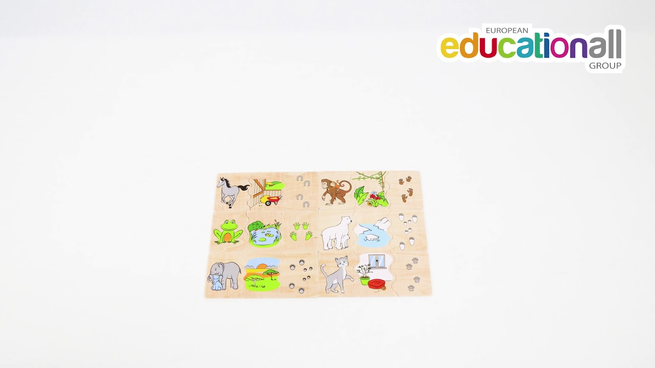 Beleduc Cognito Game Animal Habitats - YouTube
