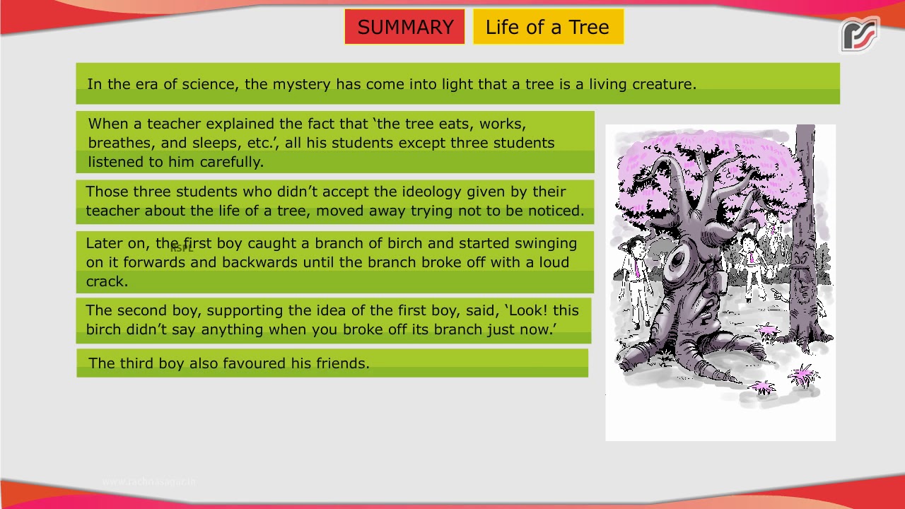 English LR 8 Life of a Tree Summary - YouTube