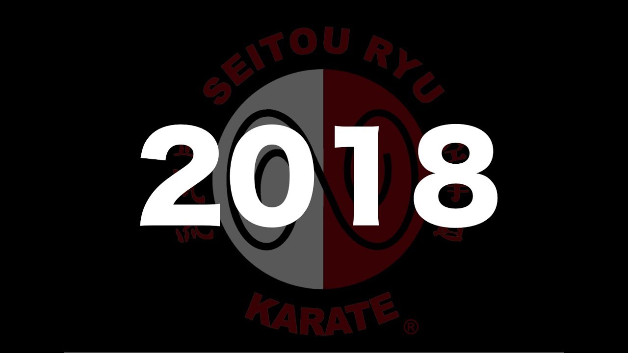 Seitou Ryu Karate Showcase 2018 - YouTube