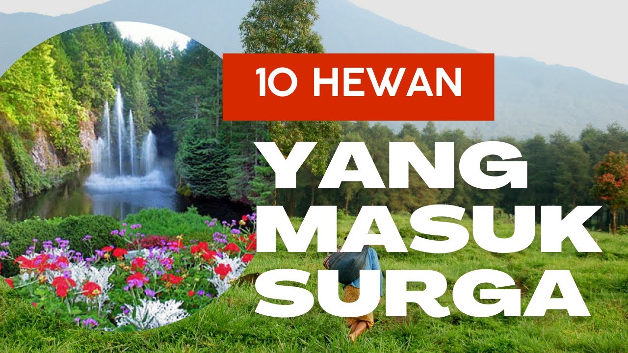 10 hewan penghuni surga - YouTube