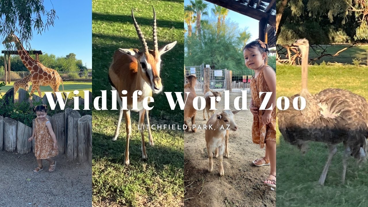 Wildlife World Zoo and Safari Park | Litchfield Park, AZ - YouTube