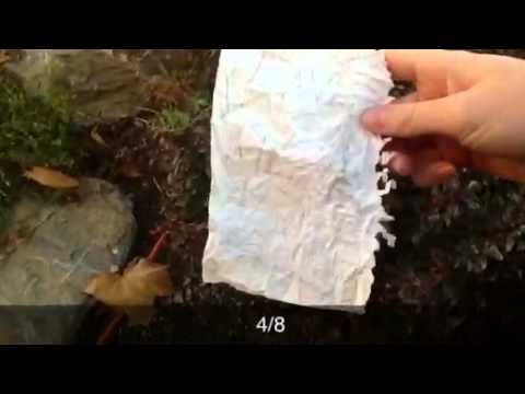 Slender Man: The Eight Notes (RealLife) - YouTube