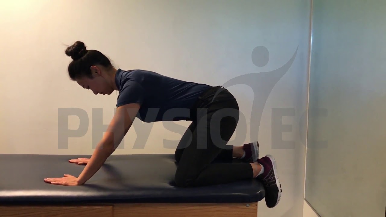 Quadruped rocking with pelvic floor activation - YouTube