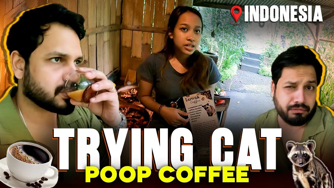 TRYING CAT POOP COFFEE!! - YouTube