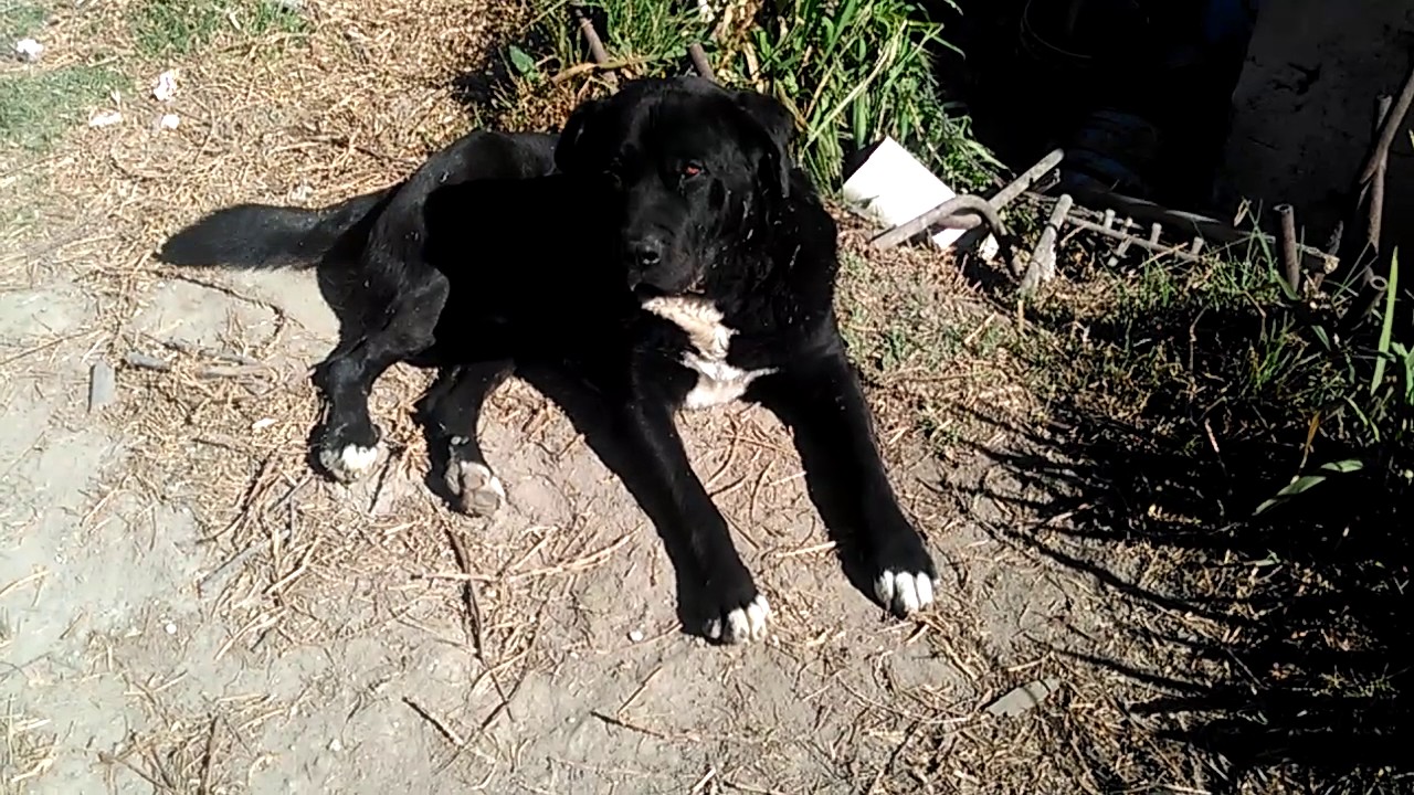 Eeeeew weee eweweeewewewwwe - YouTube