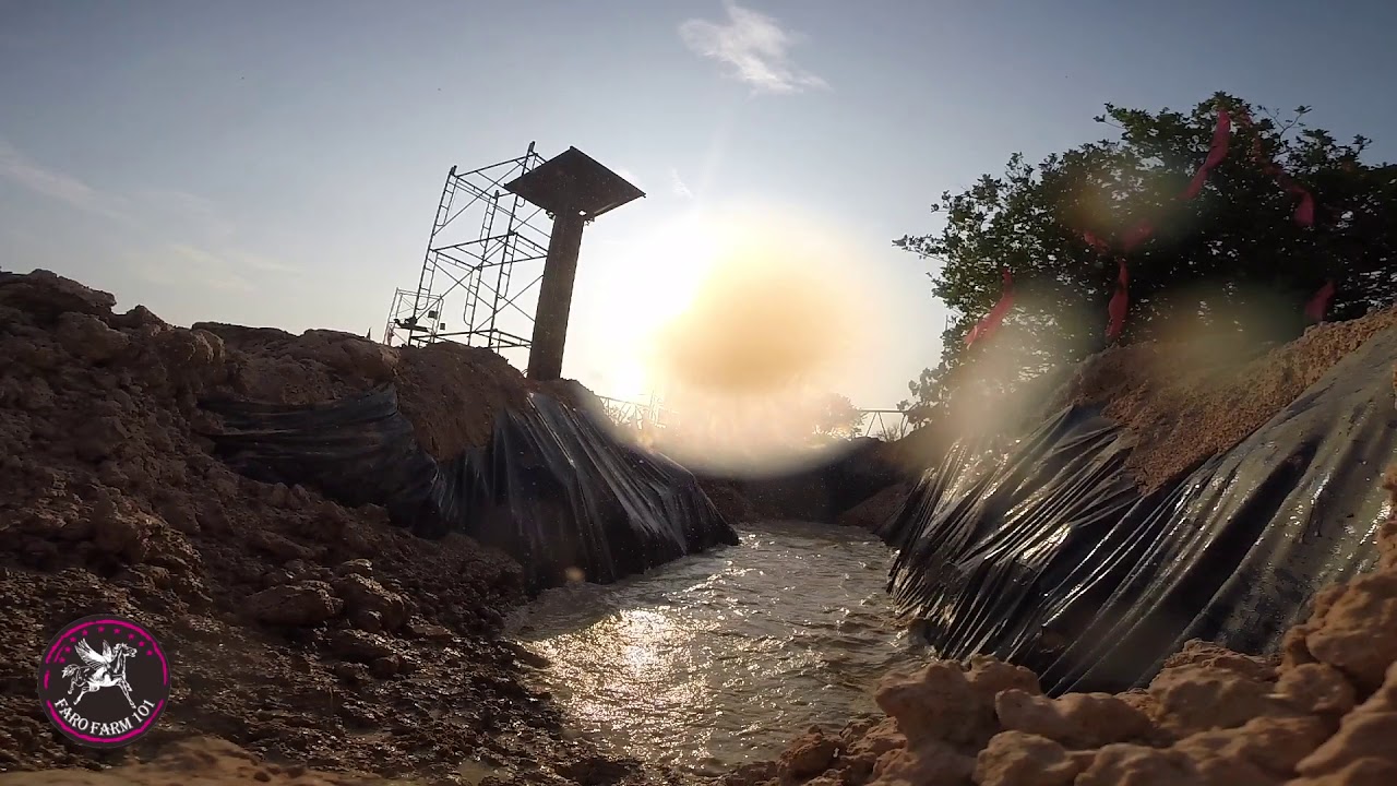 Cowboy Night Festival Live in Faro Farm #1 - YouTube