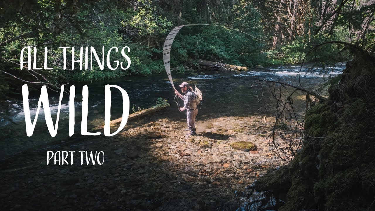 ALL THINGS WILD | PART TWO | A Short Series About Fly Fishing Small ...