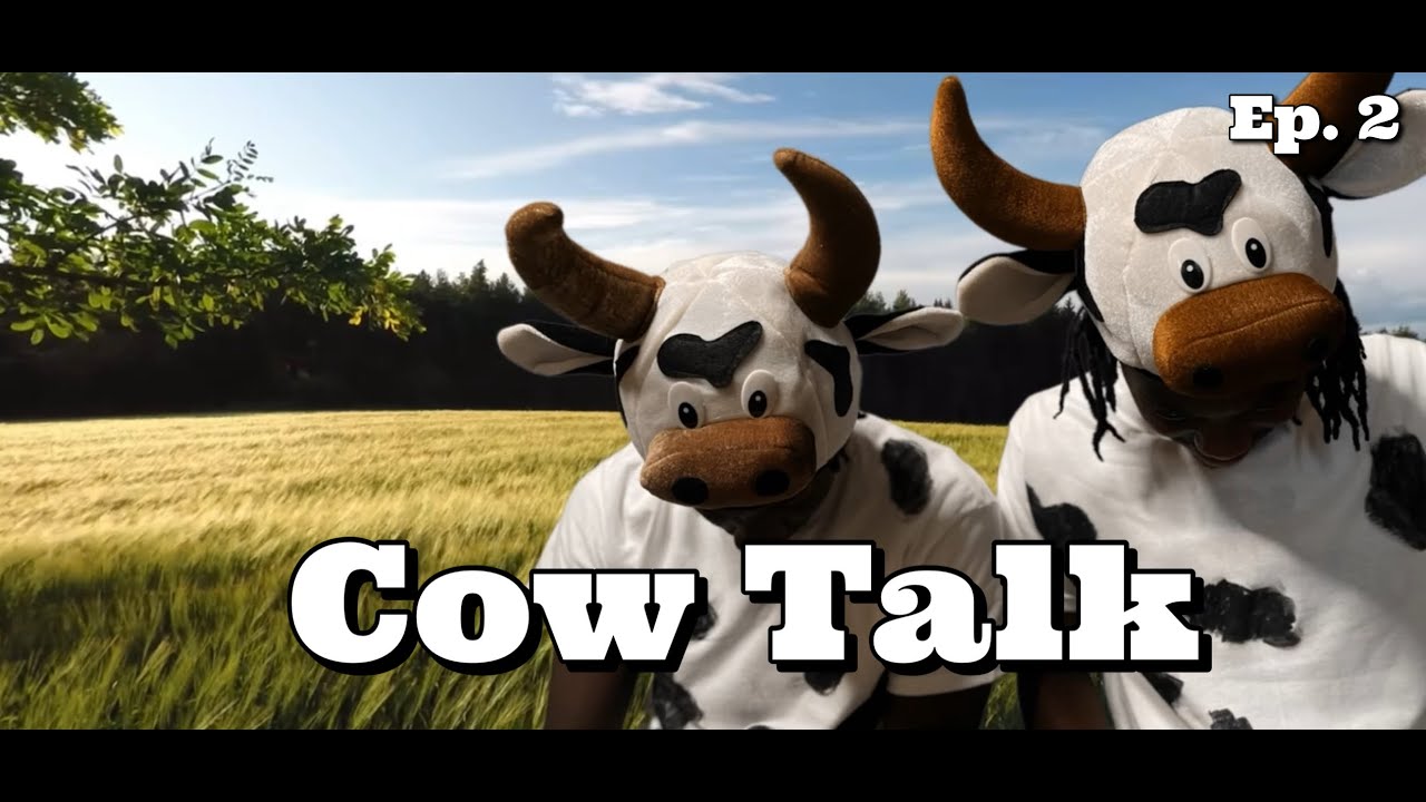 Cow Talk Ep. 2 - YouTube