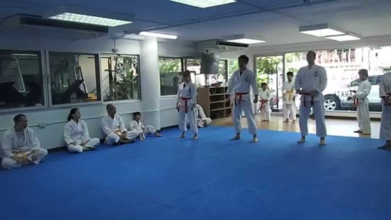 Orange Belt (8th Kyu) To Blue Belt (7th Kyu) Kihon - YouTube