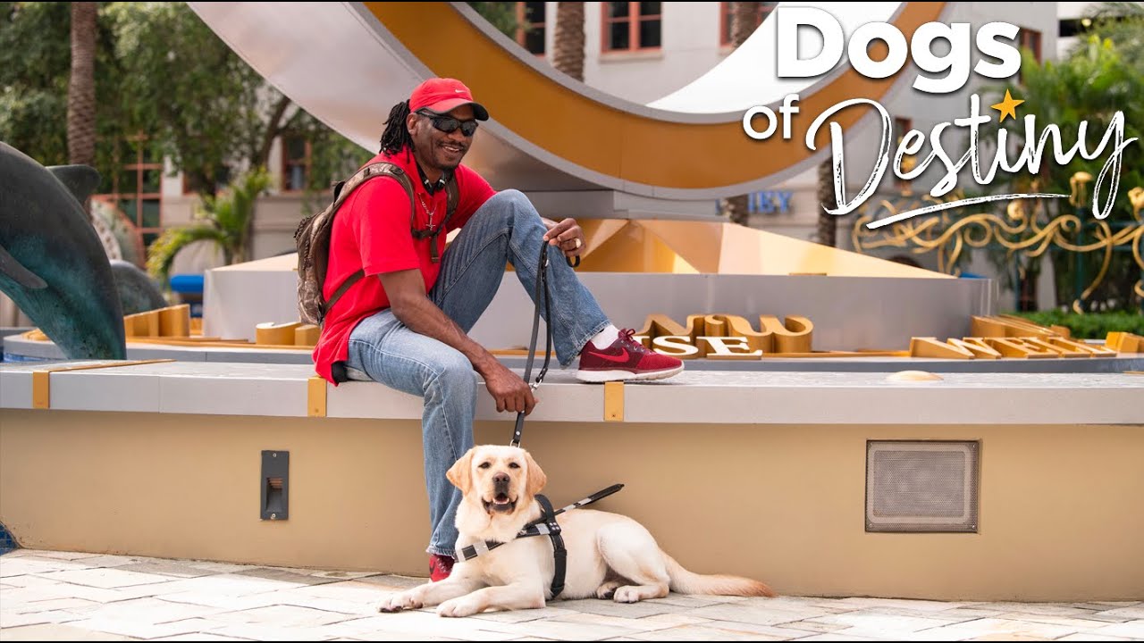 Happy with Chappy | Dogs of Destiny - YouTube