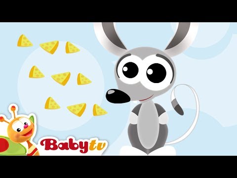 Mouse Animal Sound & Name for Kids 🐭 | Learn with BabyTV