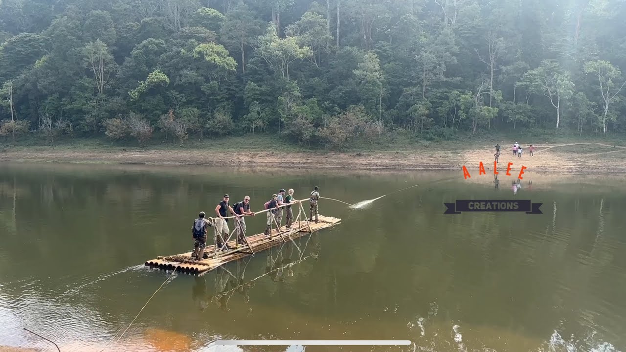 Walking Through Thekkady Reserve Forest | Live Forest Song Recording | Calm and Refreshing # ...