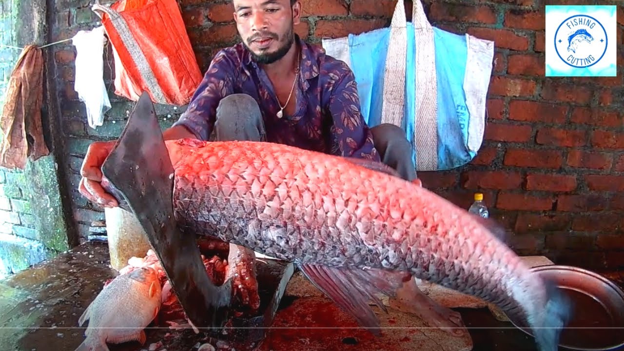Very Testy Big Grass Carp Fish Cutting Skills Live In Fish Market - YouTube