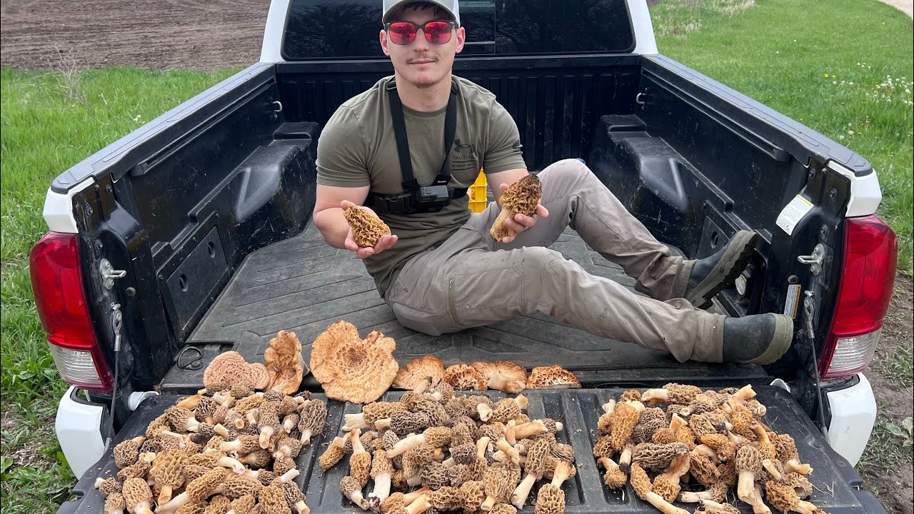Morel mushroom hunting tips & tricks| We hit the jackpot! # ...